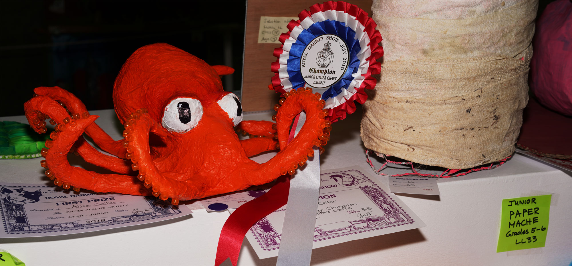 Special Awards | The Royal Darwin Show